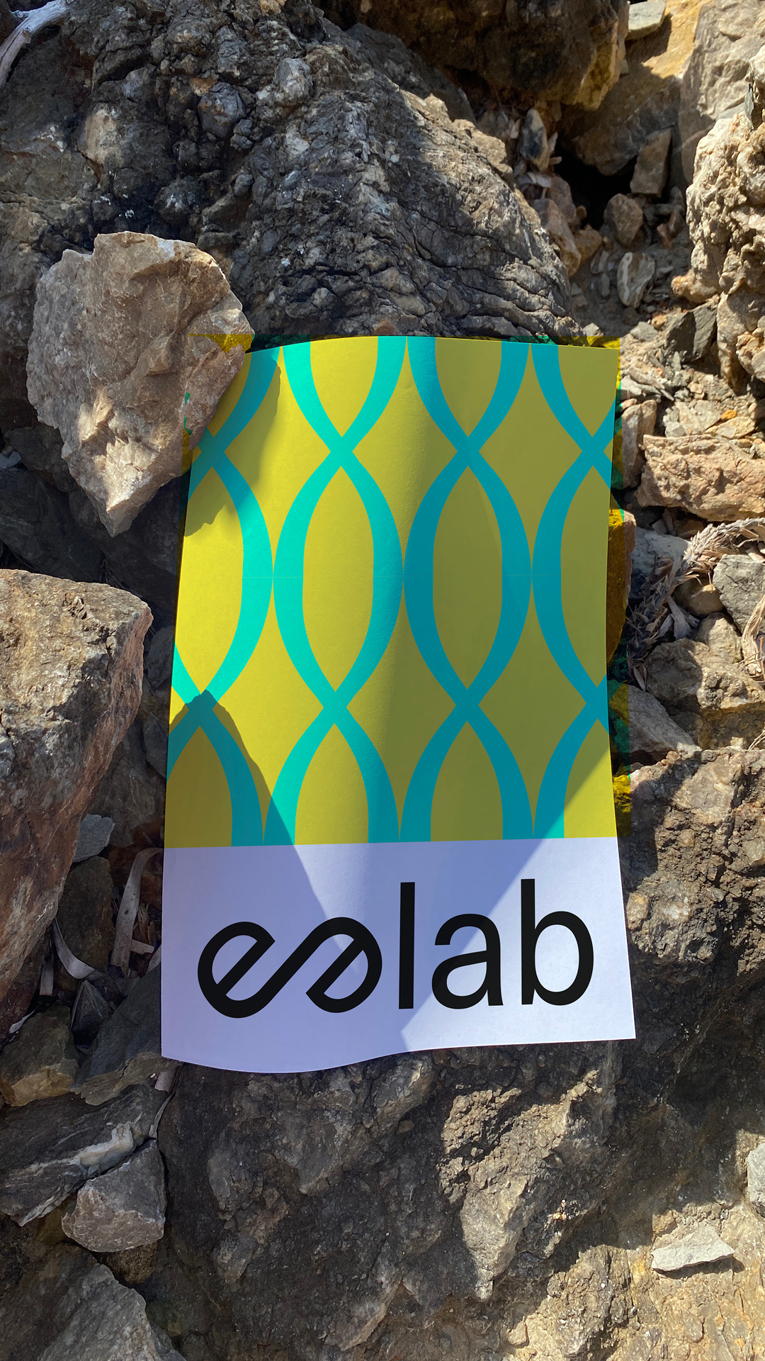 Logo Design — Regular Animal