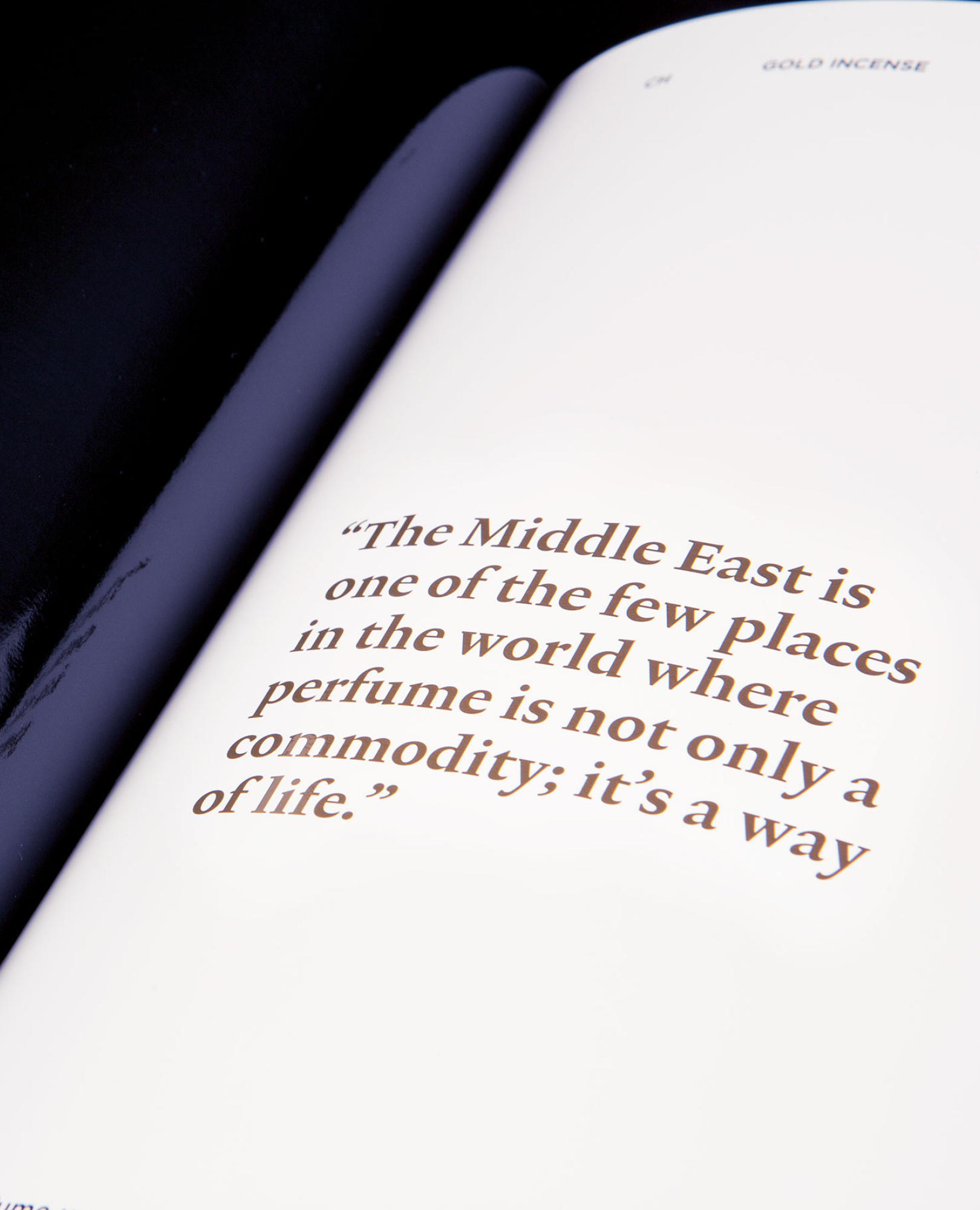 Translation Services · REGULAR ANIMAL