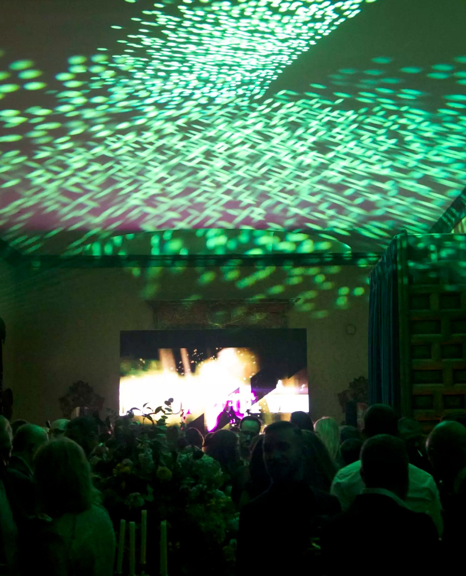 Brand Activation · REGULAR ANIMAL