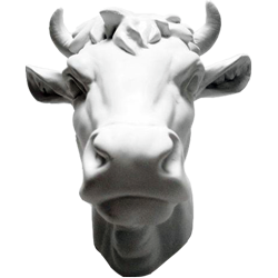 REGULAR ANIMAL · RIGHT THOUGHTS, RIGHT WORDS, RIGHT ACTIONS™